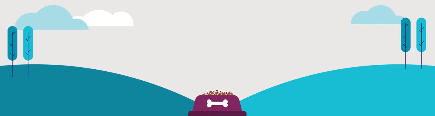 FAQs - Walker and Drake