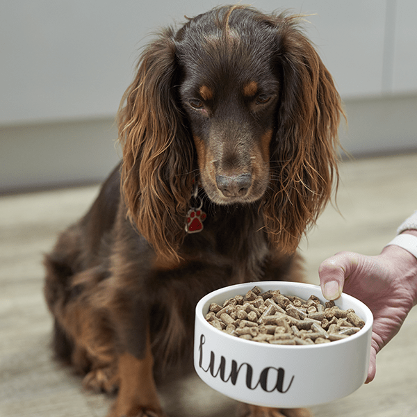 12kg Working Dog Chicken with Rice - Walker and Drake