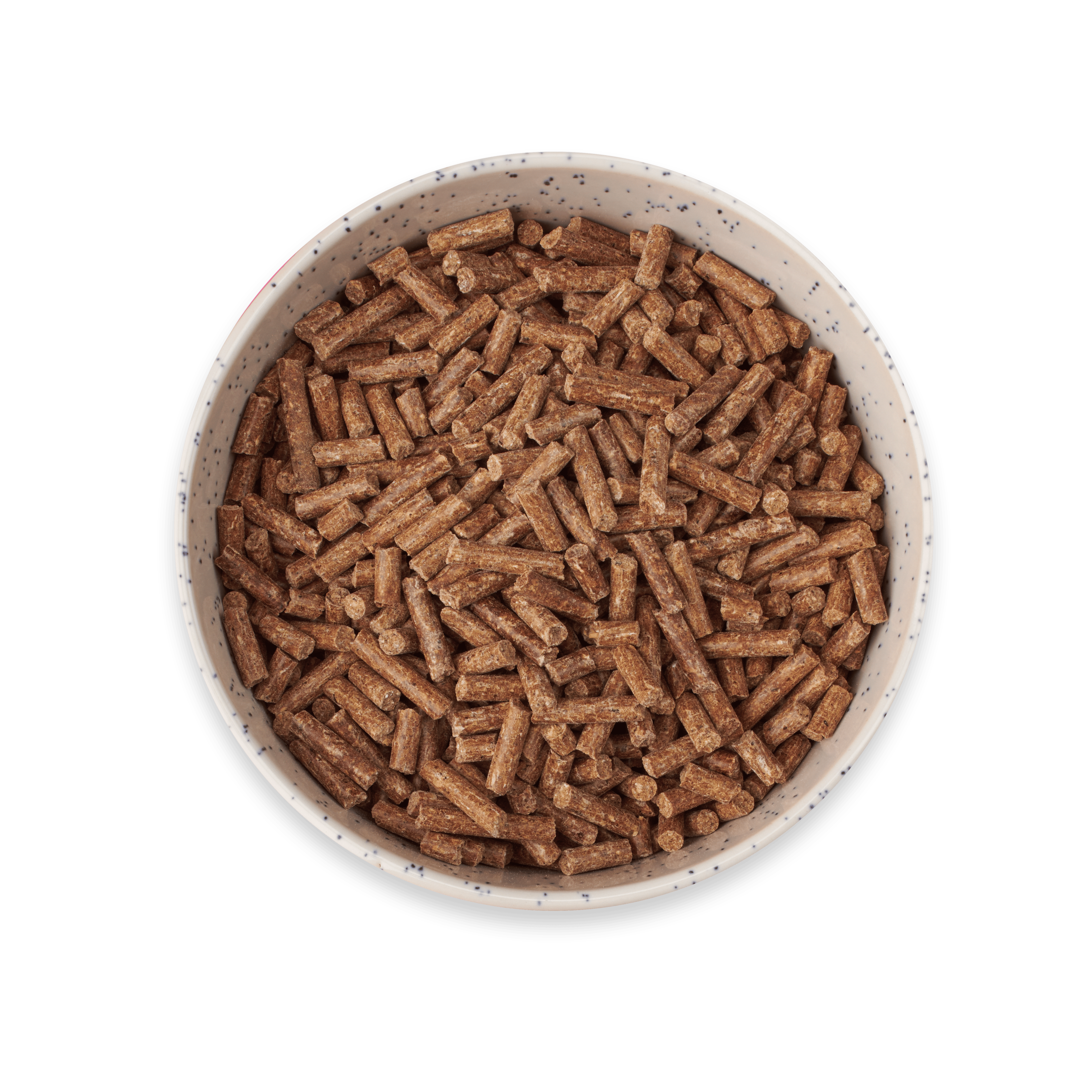 Chicken, Duck & Ocean Fish Cold Pressed Bundle - 6KG – Walker and Drake