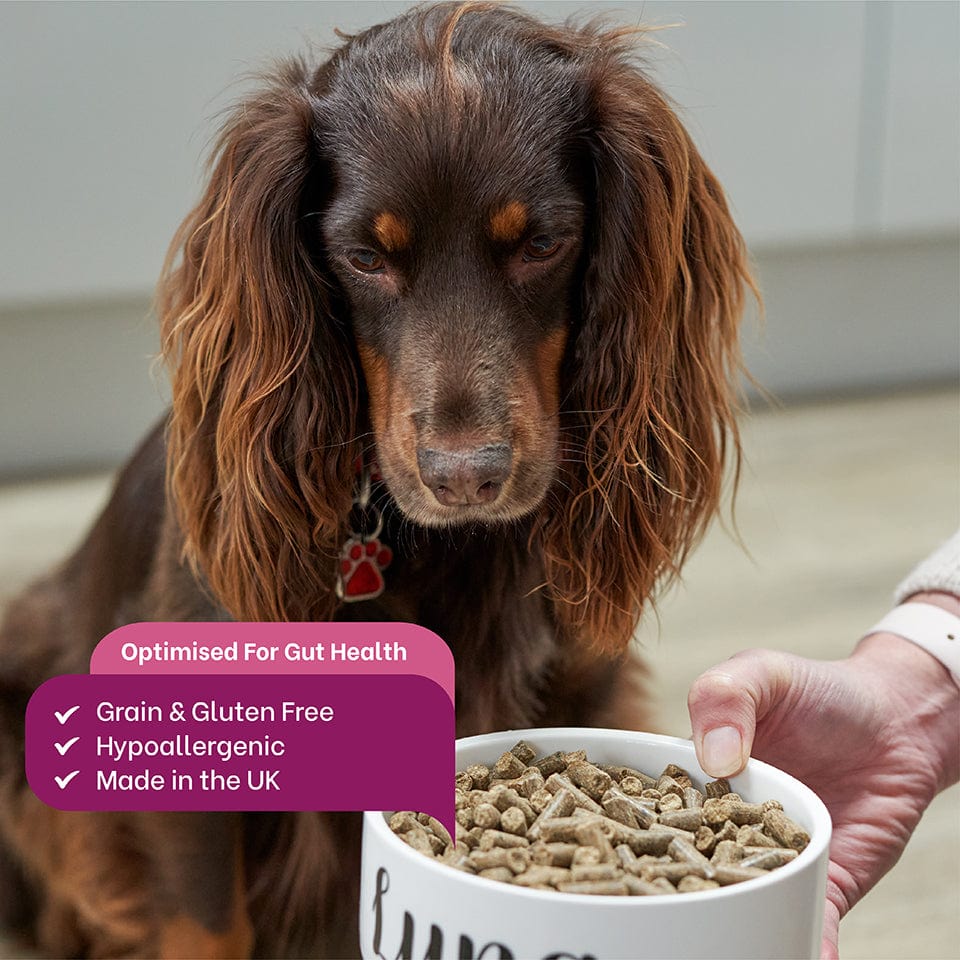 Walker & Drake | UK made Cold Pressed Dry Dog Food | Woking Dog Food